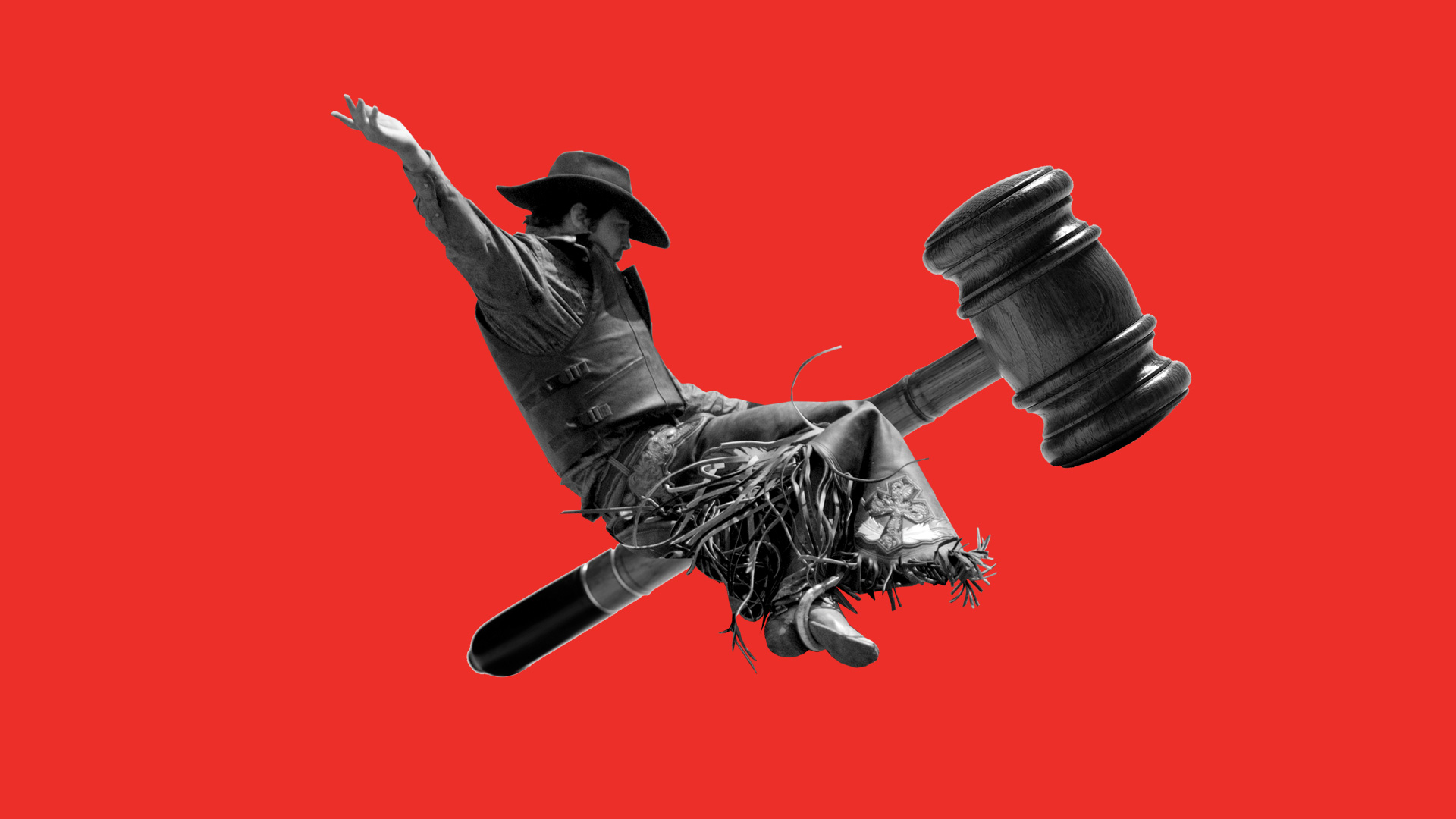 Little Red Warrior & His Lawyer – Digital Program - Belfry Digital